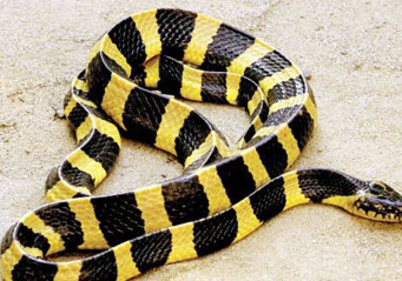 Monosha Biotech | Gallery